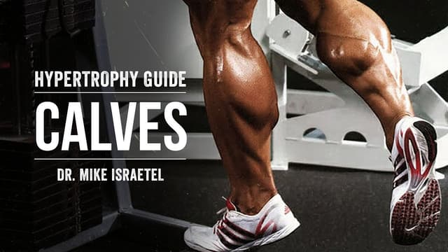 Volume Landmarks - Reinassance Periodization